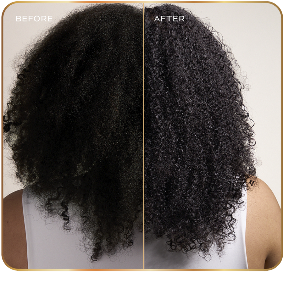 Chébé Hair Oil | Fortifying Scalp & Growth Oil | All Hair Types – Cheribe